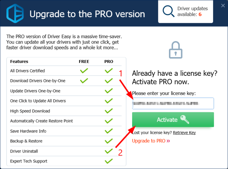 Driver Easy Pro Key gratuito [chiavi di licenza funzionanti al 100% ...