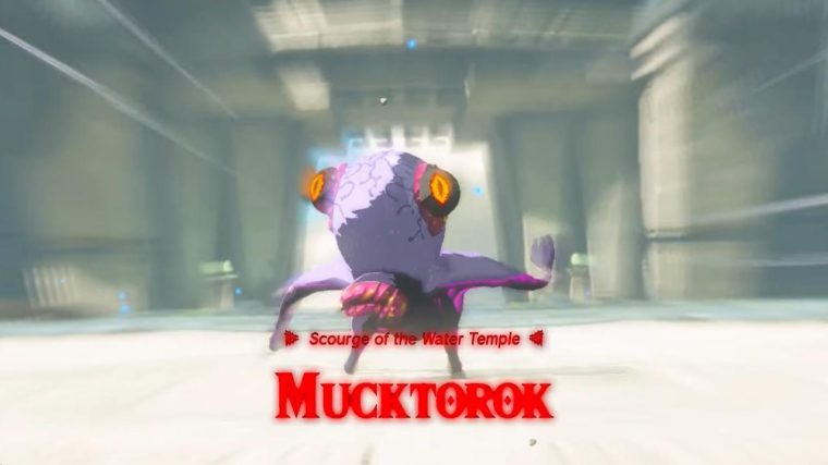 Zelda Tears of the Kingdom - Comment vaincre Mucktorok - ProGuideAH
